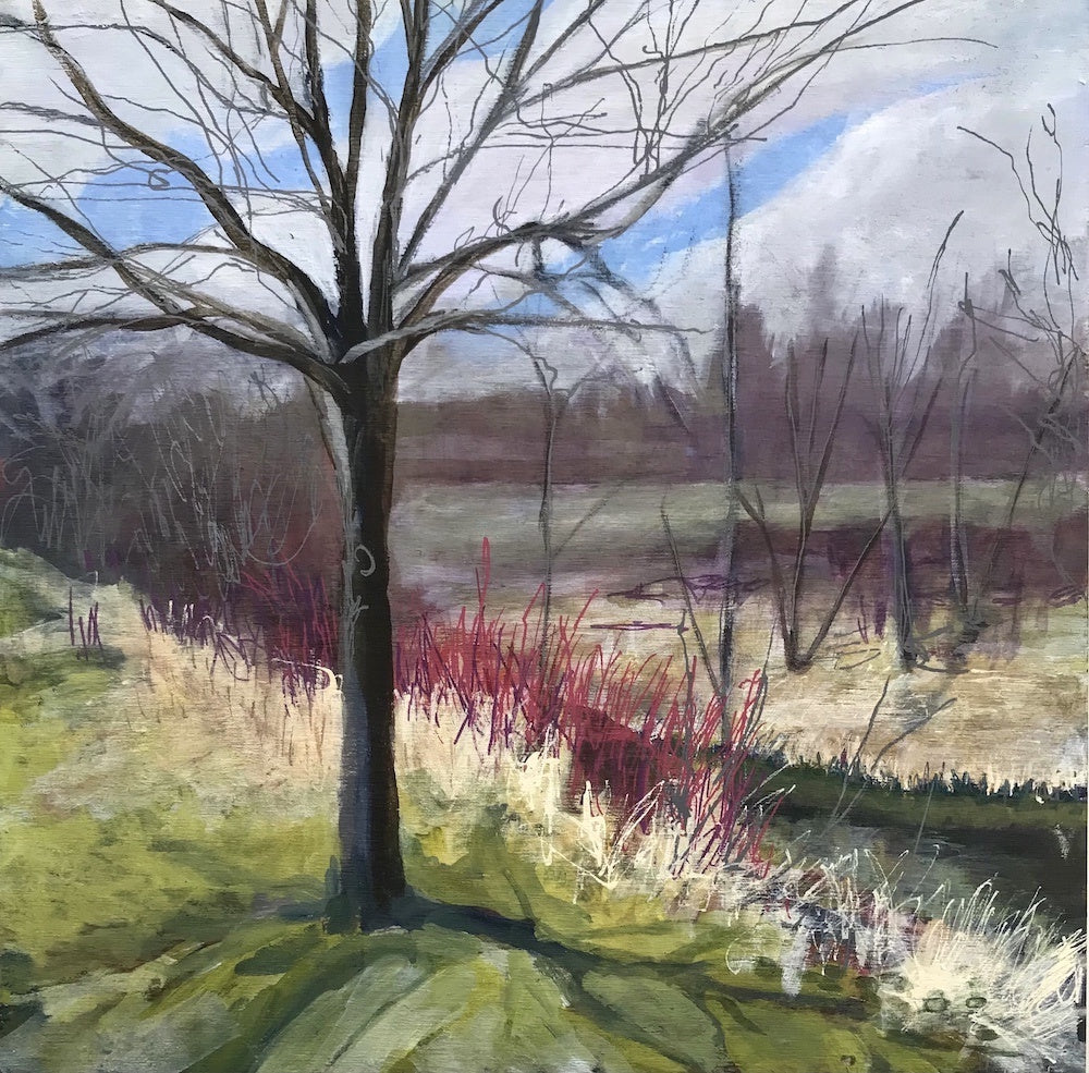 Spring Thaw, Smythe Park | helloart