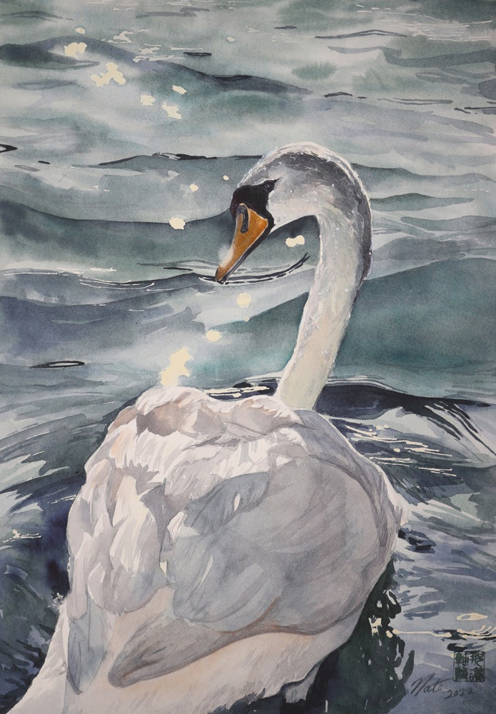 Swan lake | helloart