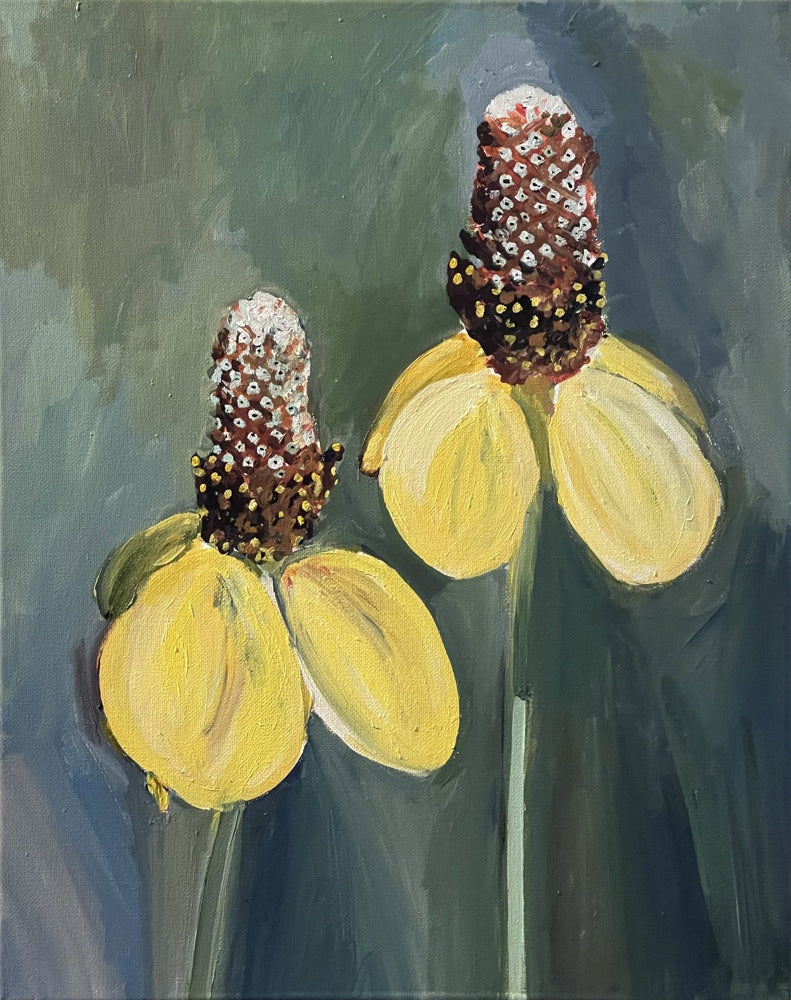 Yellow coneflowers | helloart
