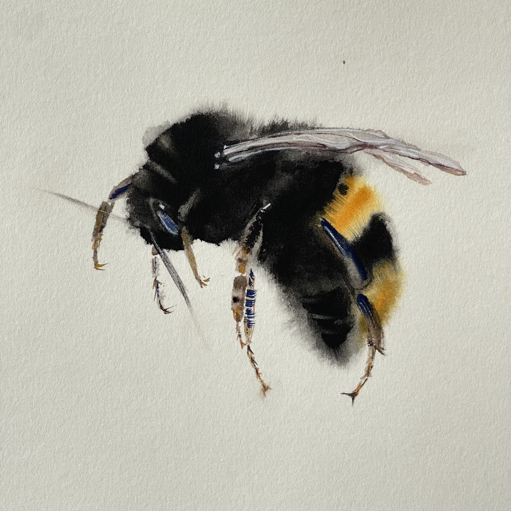 Small Bee | helloart