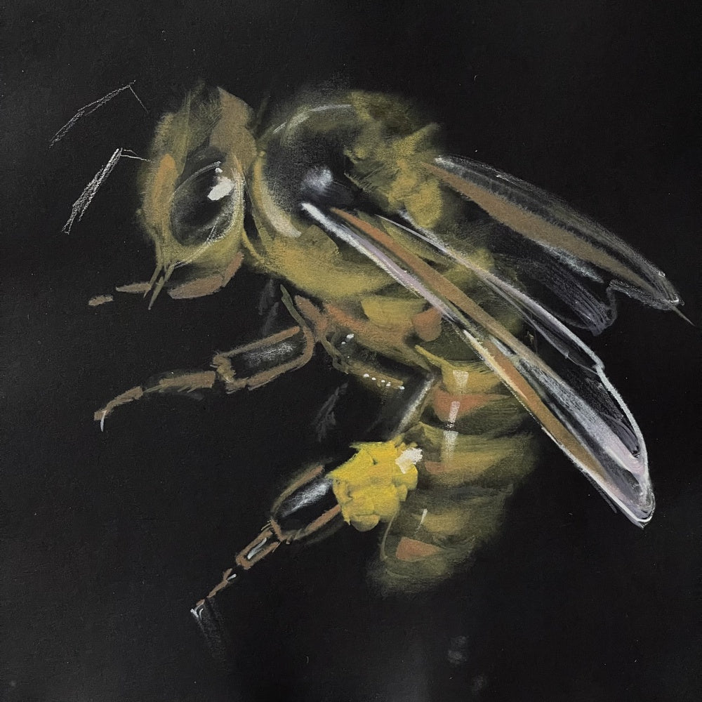 Honey Bee | helloart
