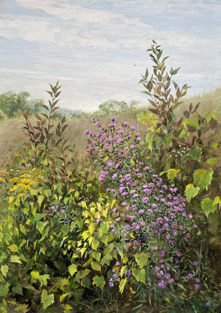 Wild Grape and Asters | helloart