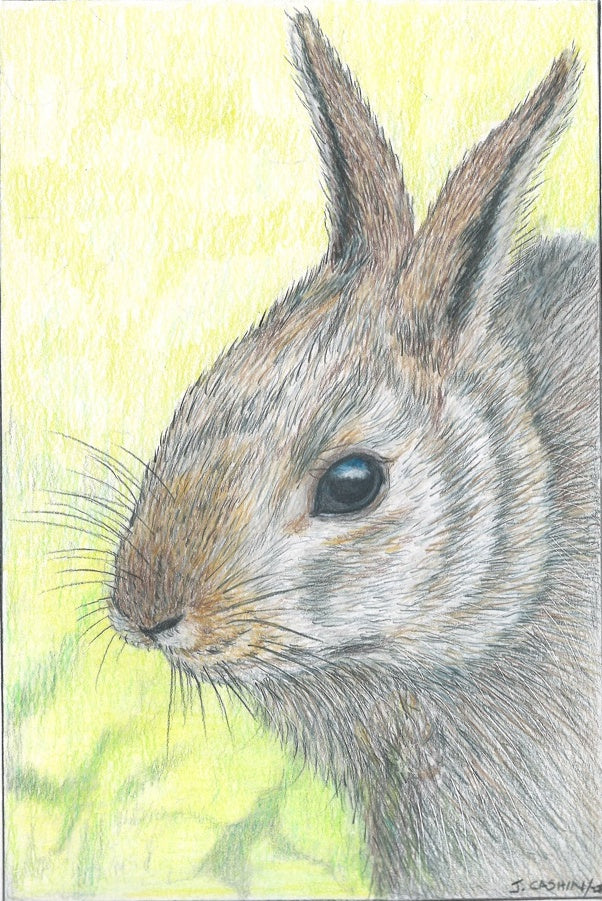 The Bunny | helloart