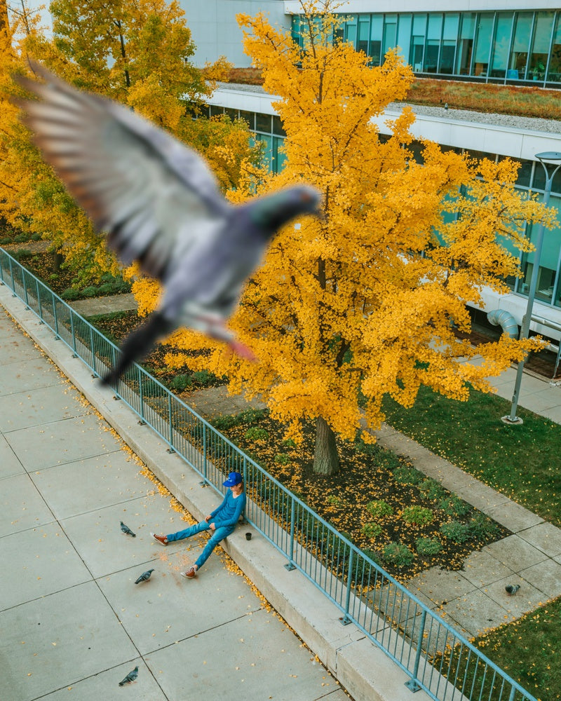 City Hall | helloart