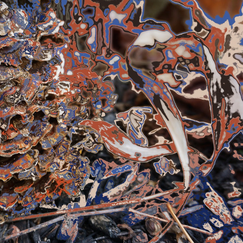 Lichen-III | helloart