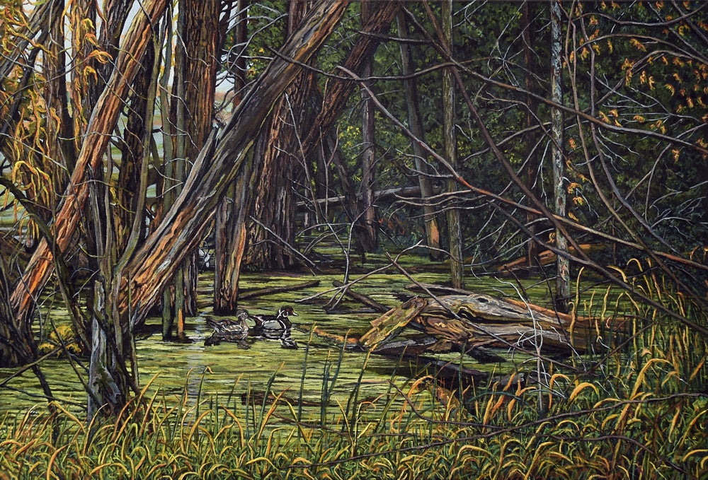 Secluded Pond | helloart