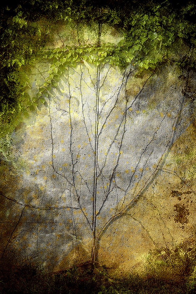 Tree of Life | helloart