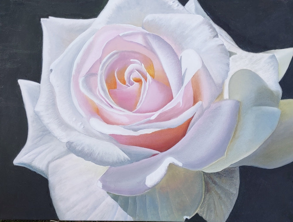 White Rose | helloart