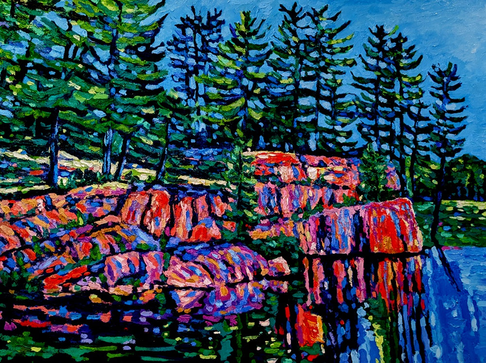 Cranberry Bog Trail - Killarney Provincial Park | helloart