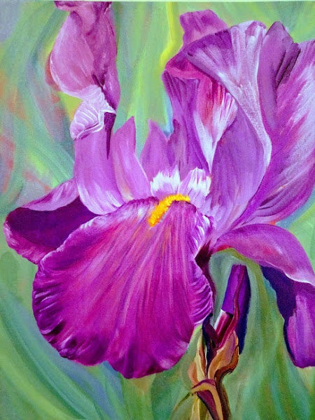 Purple Iris | helloart