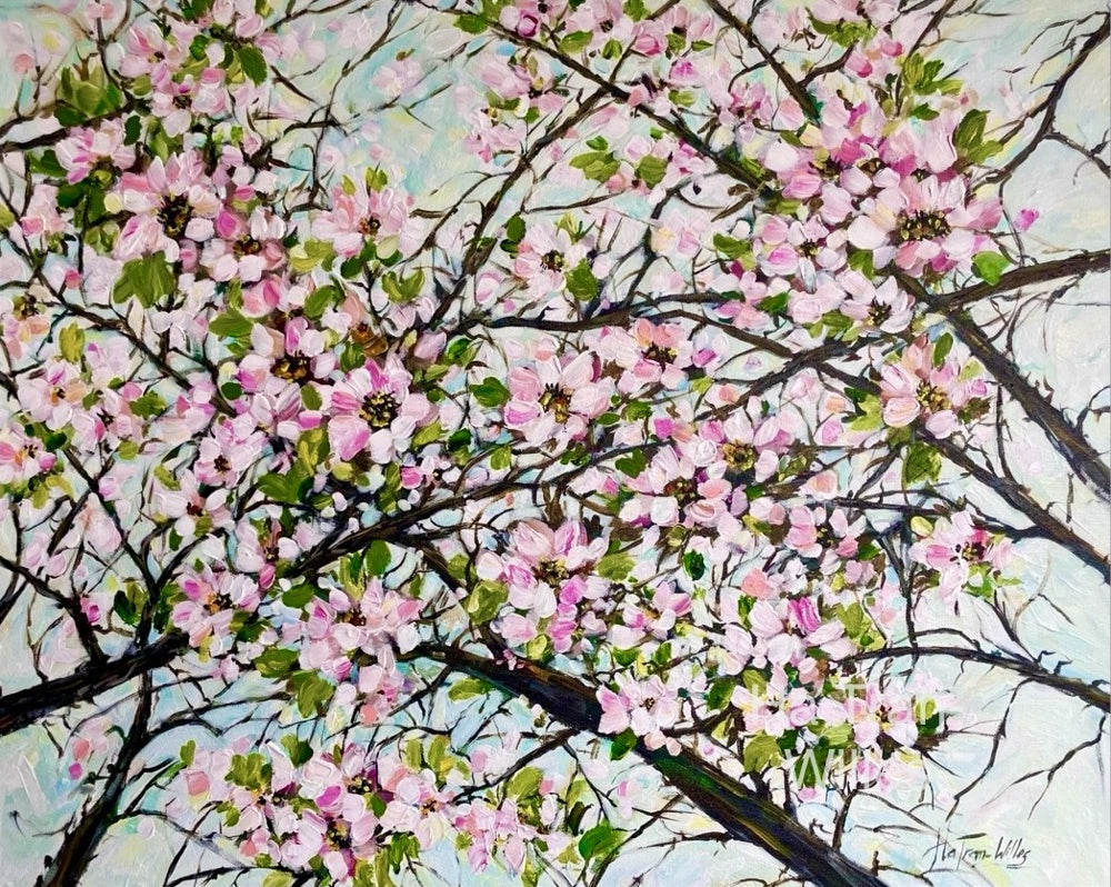 Cherry Blossom | helloart
