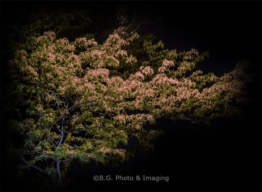 Illuminating The Night | helloart