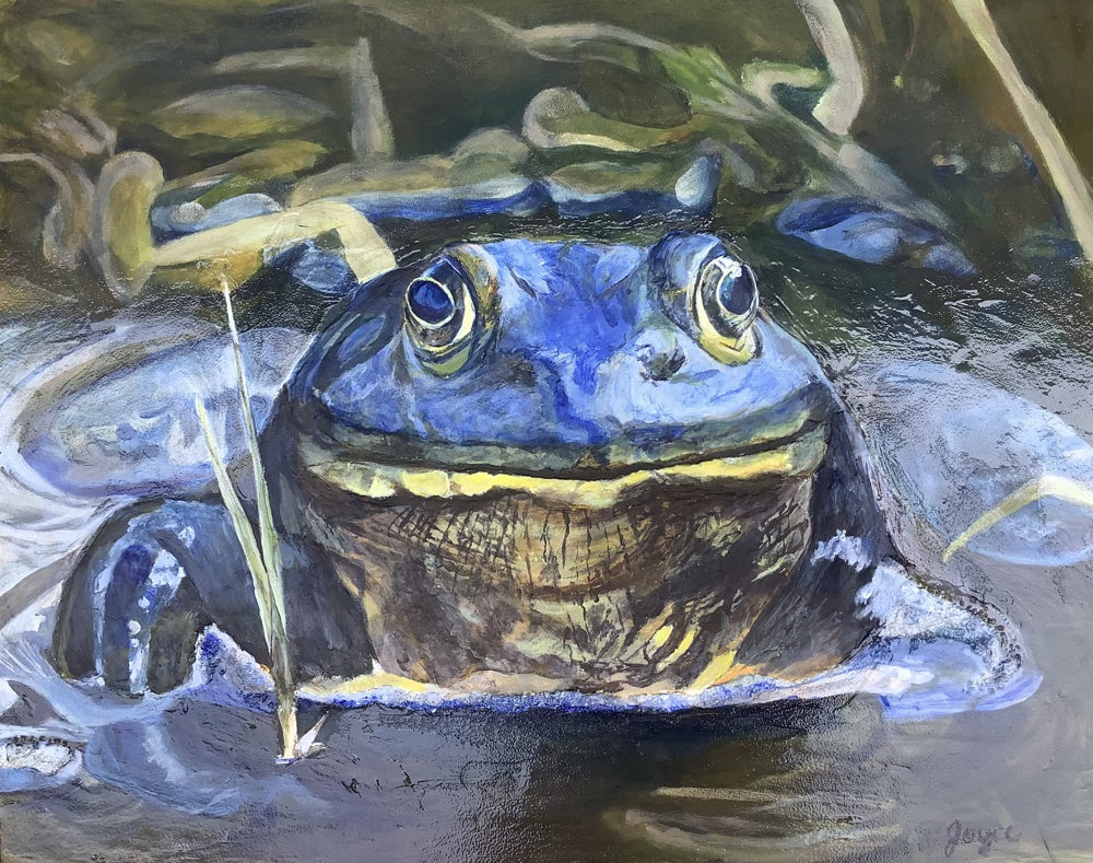 Blue Frog | helloart