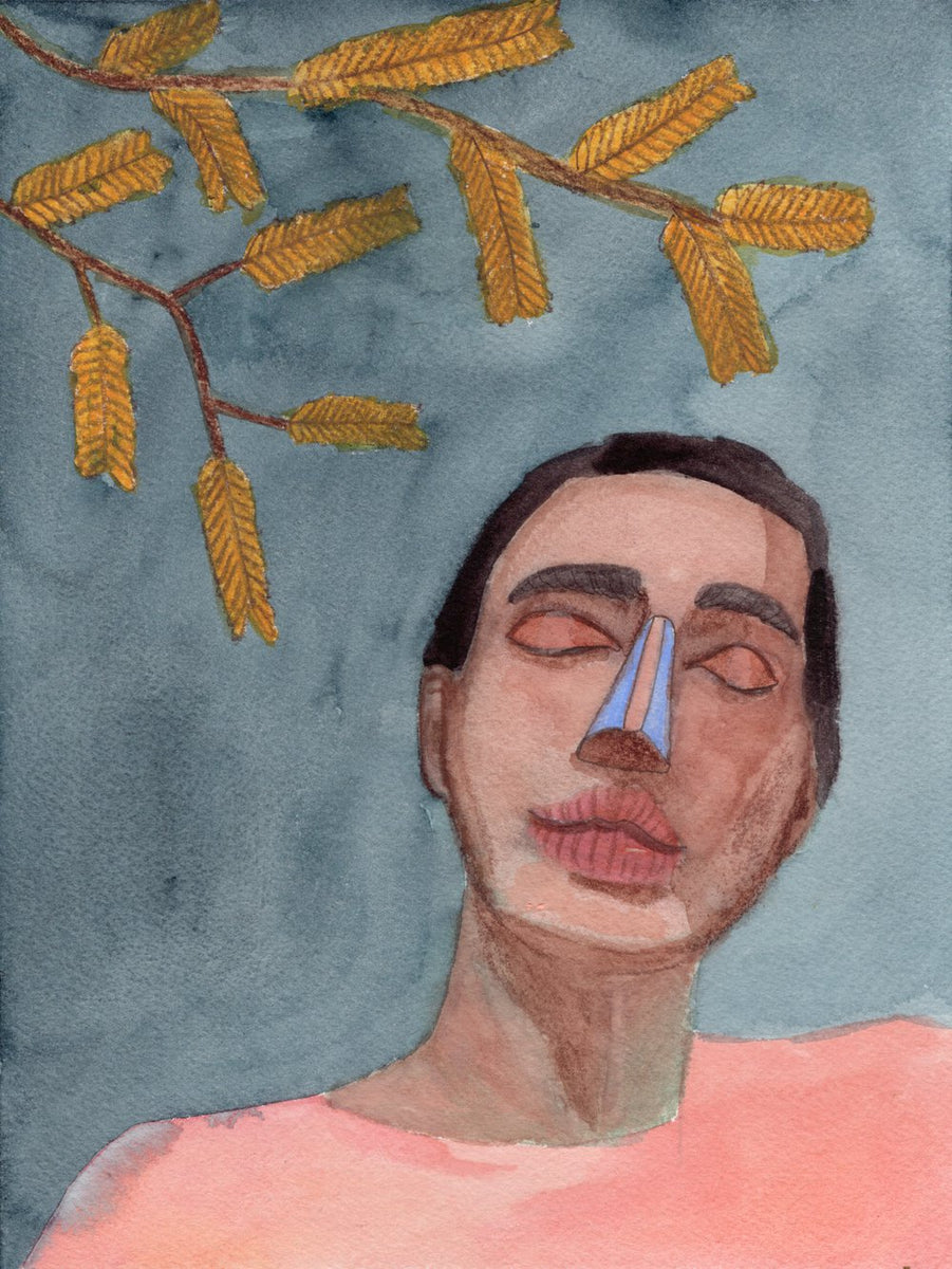 Paz bajo el framboyán (Peace under the Royal Poinciana) | helloart