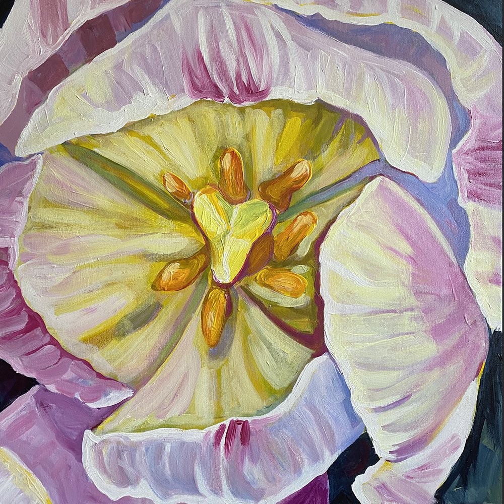 Unfurl: Pink Tulip | helloart