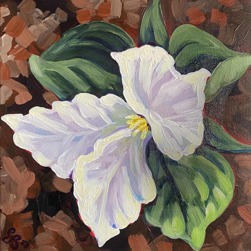 Trillium II | helloart