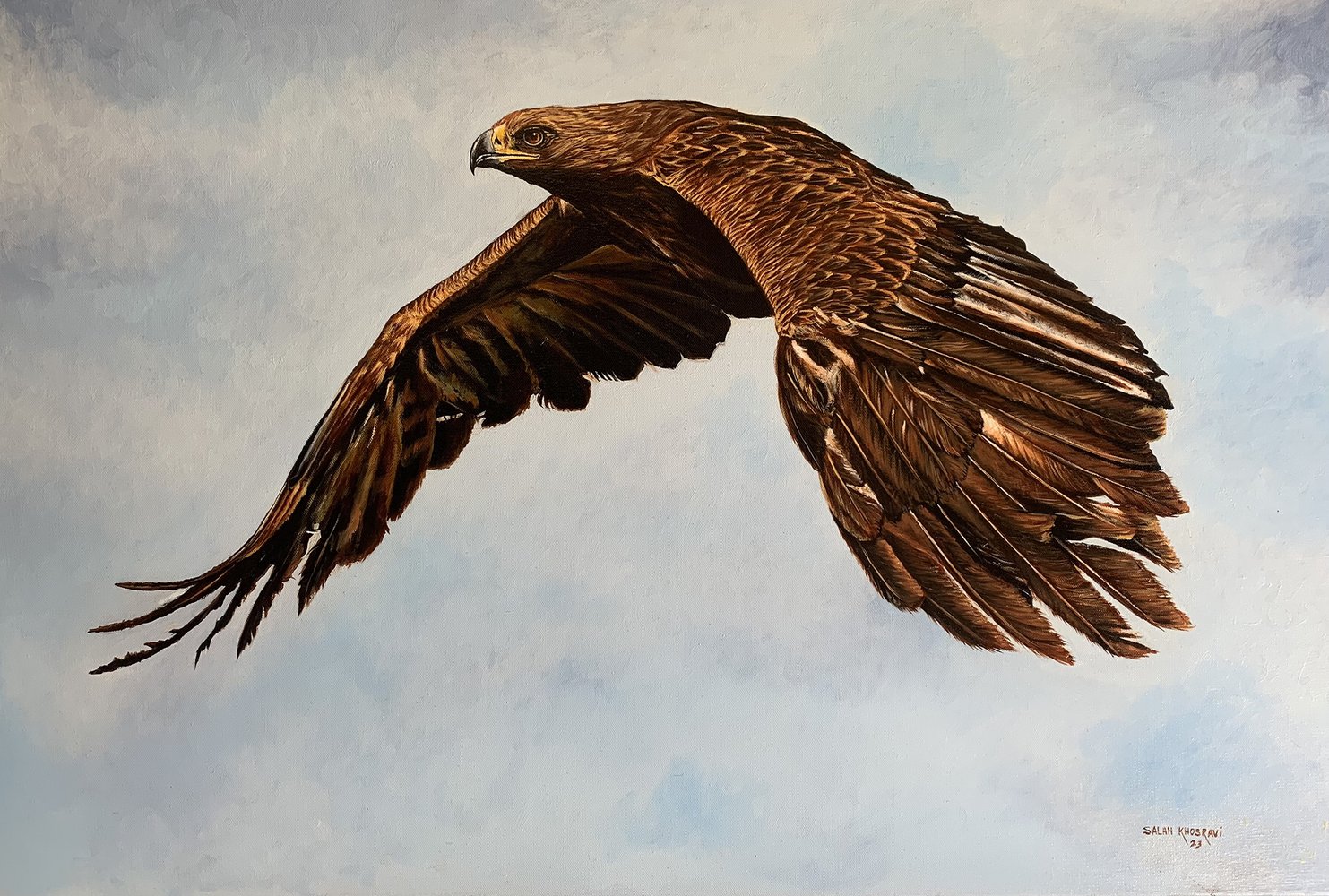 Flying High | helloart