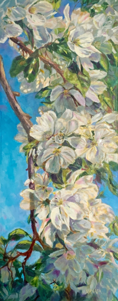 Delicious Apple Blossoms | helloart