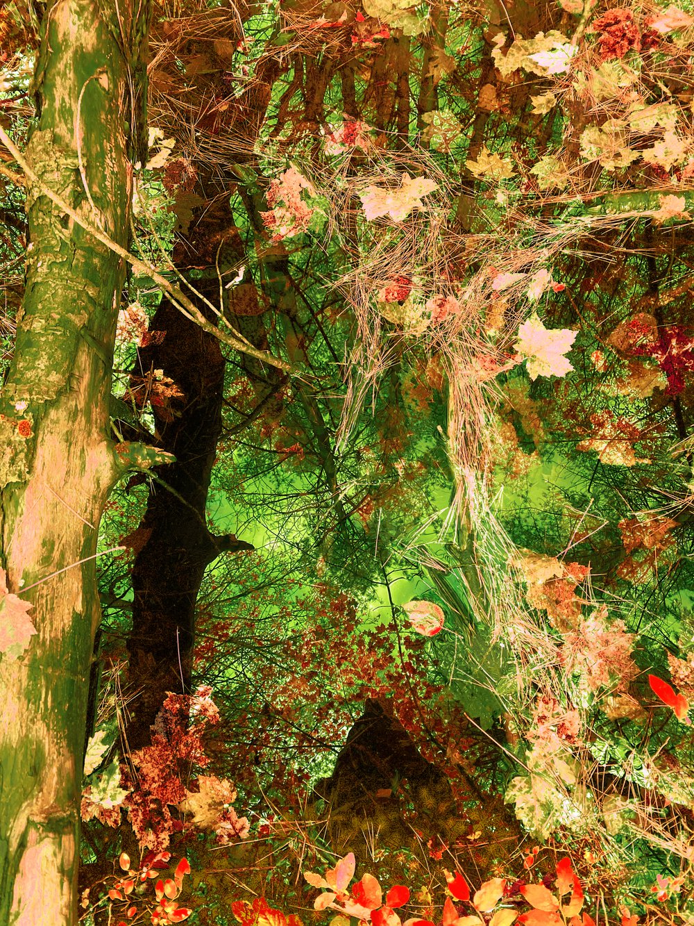 ON YOUR ISLAND: PASSING THROUGH THE VEIL III | helloart