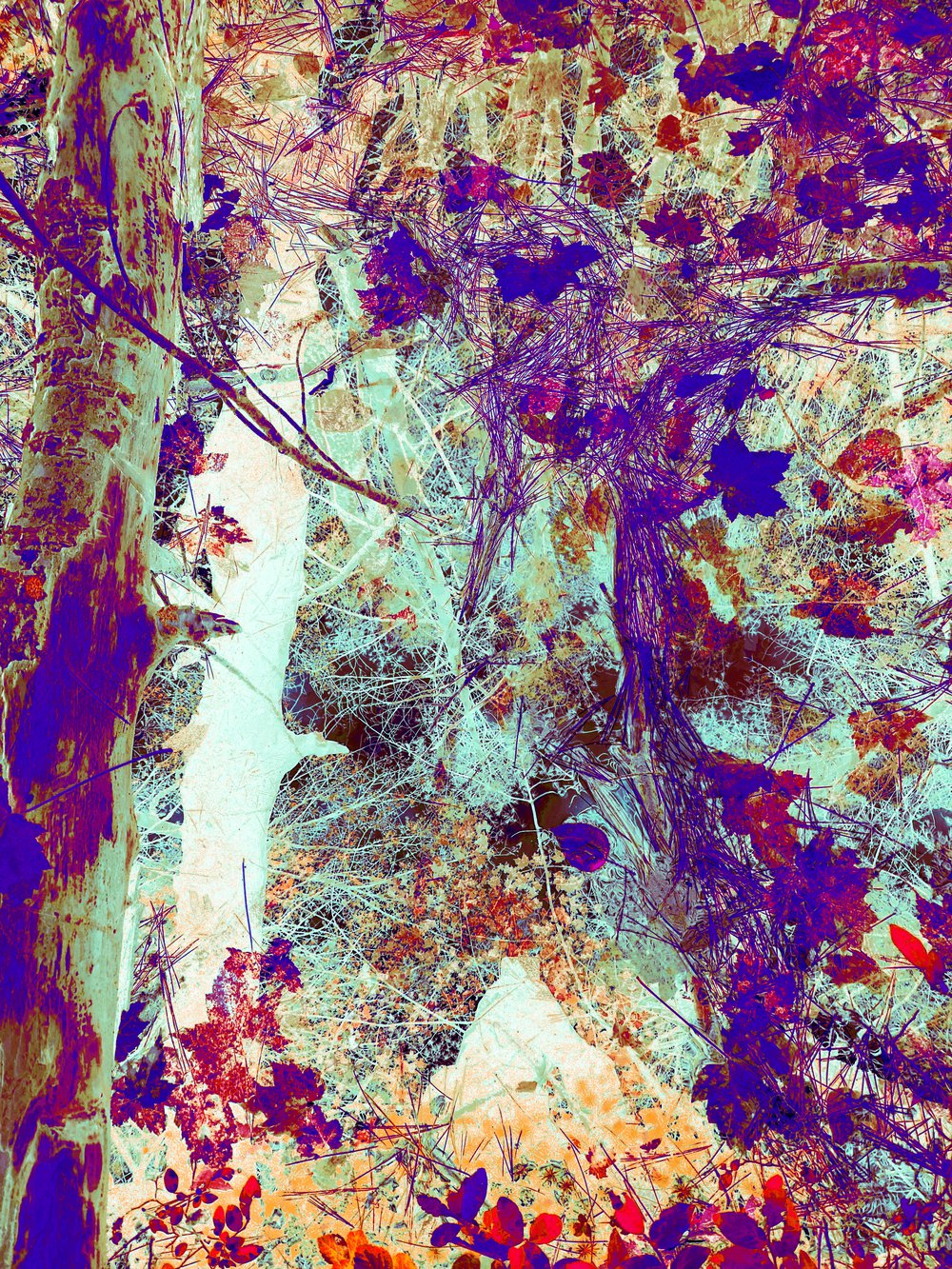 ON YOUR ISLAND: PASSING THROUGH THE VEIL | helloart