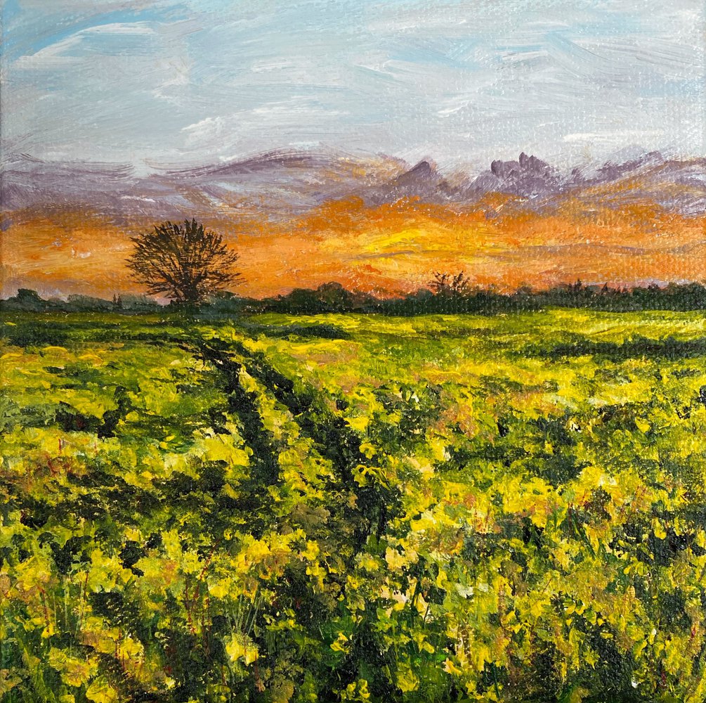 Canola Glow | helloart