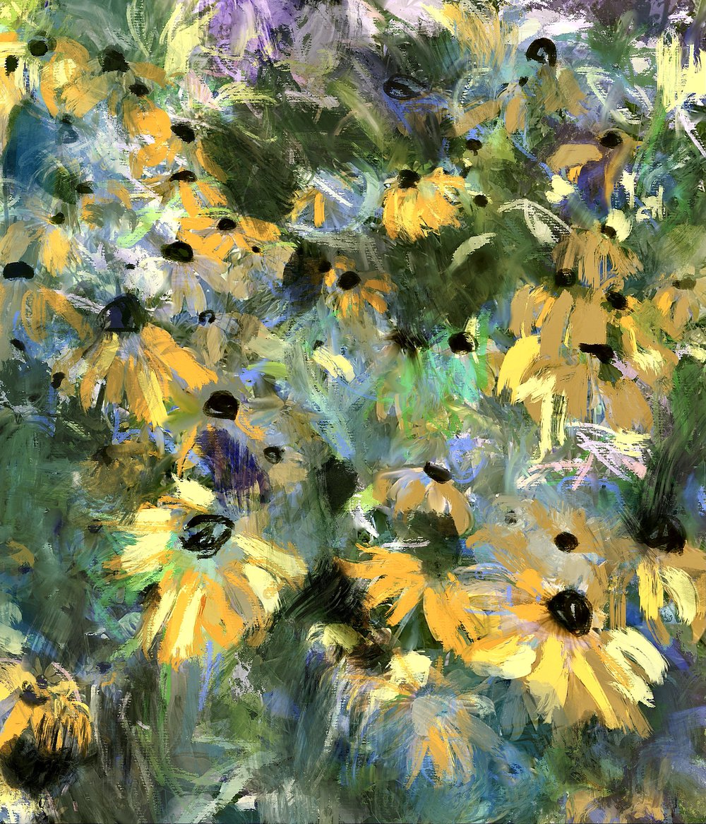Black Eyed Susans | helloart