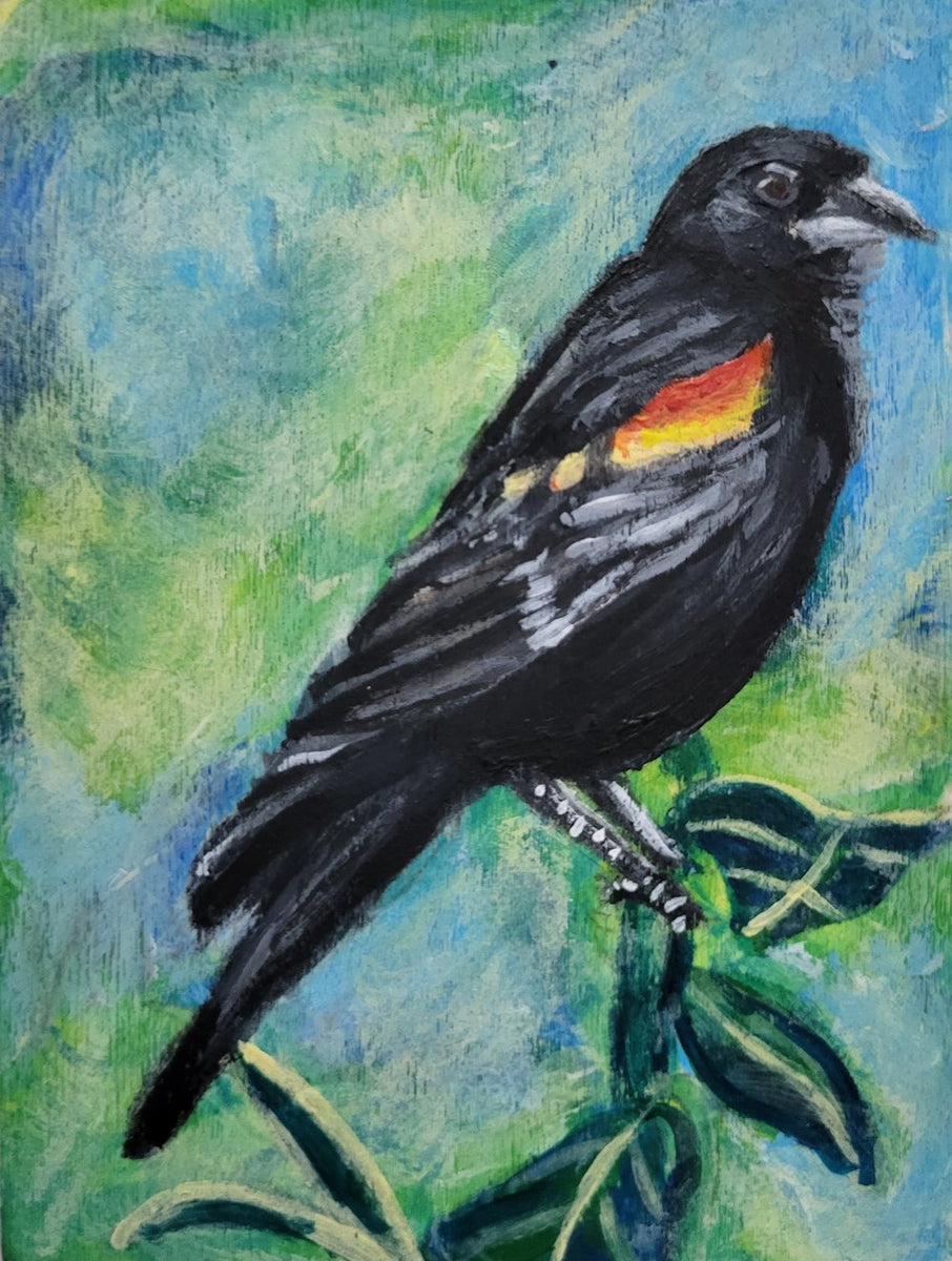 Red Winged Blackbird | helloart