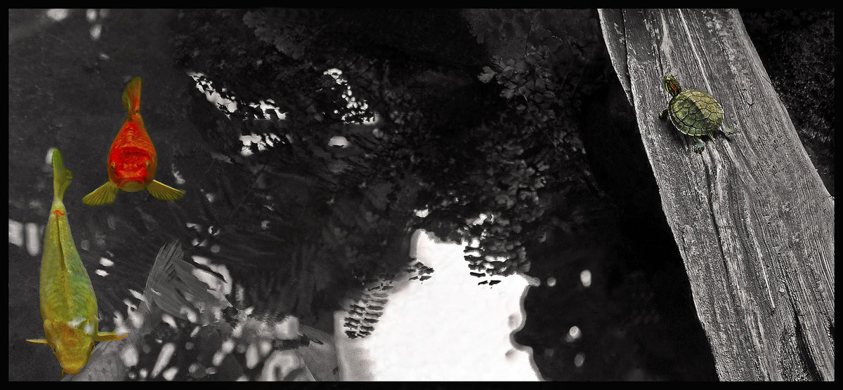 Trolls Under The Bridge | helloart