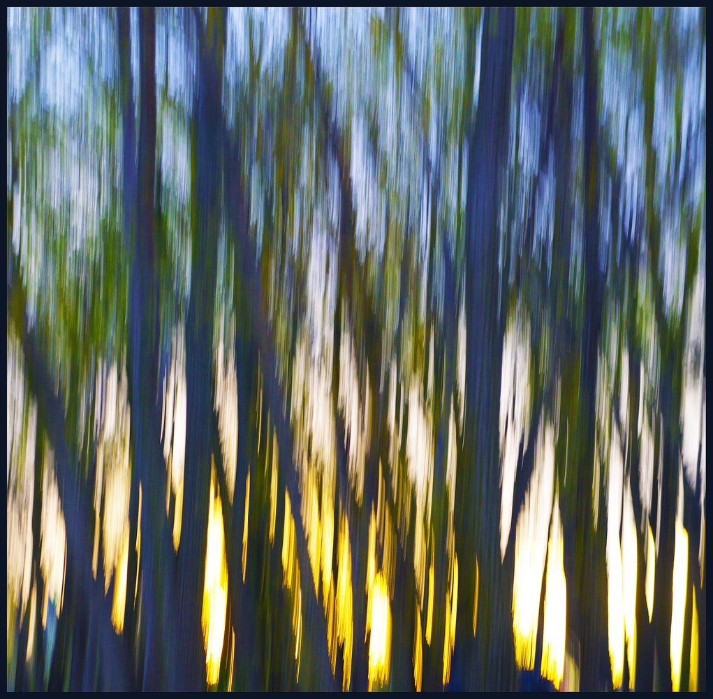 Summer's Eve | helloart