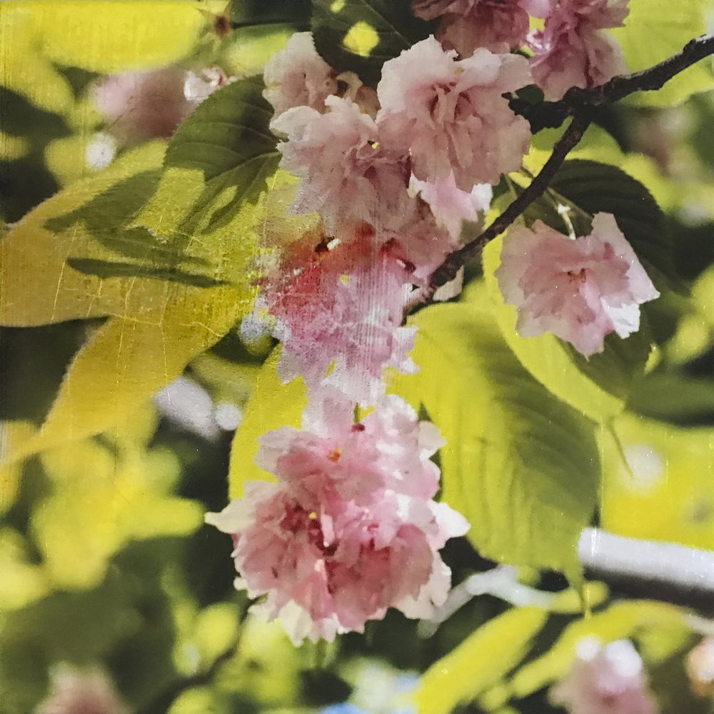 Hidden Harmony | helloart