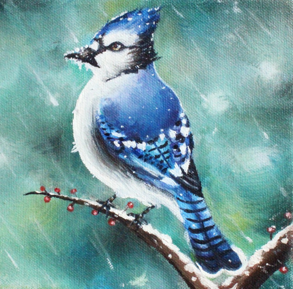 Frosty Blue Jay | helloart