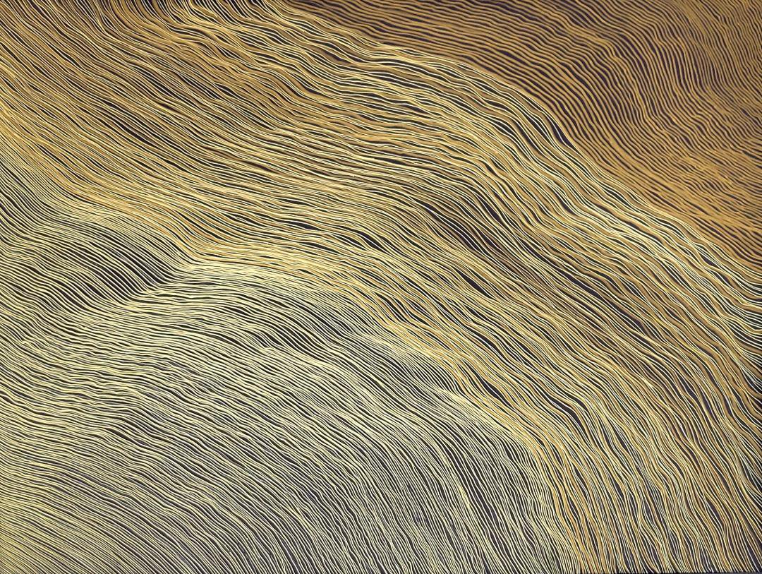 CONTINUOUS LINE | helloart