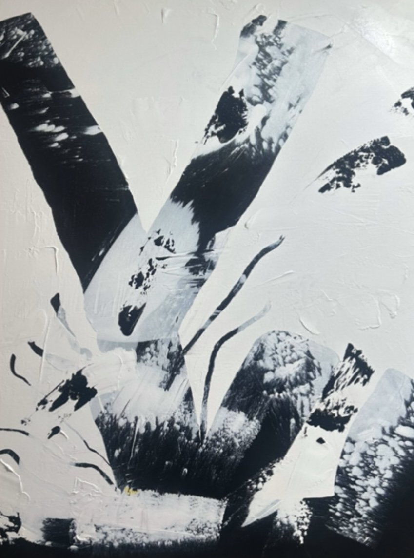 Frozen Stillness! | helloart