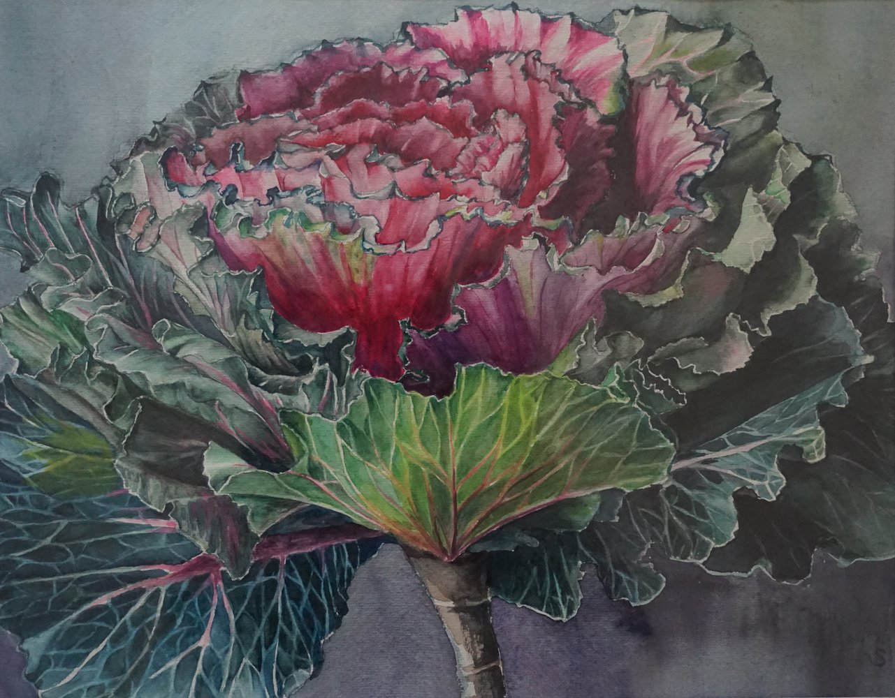 It's not a Flower | helloart