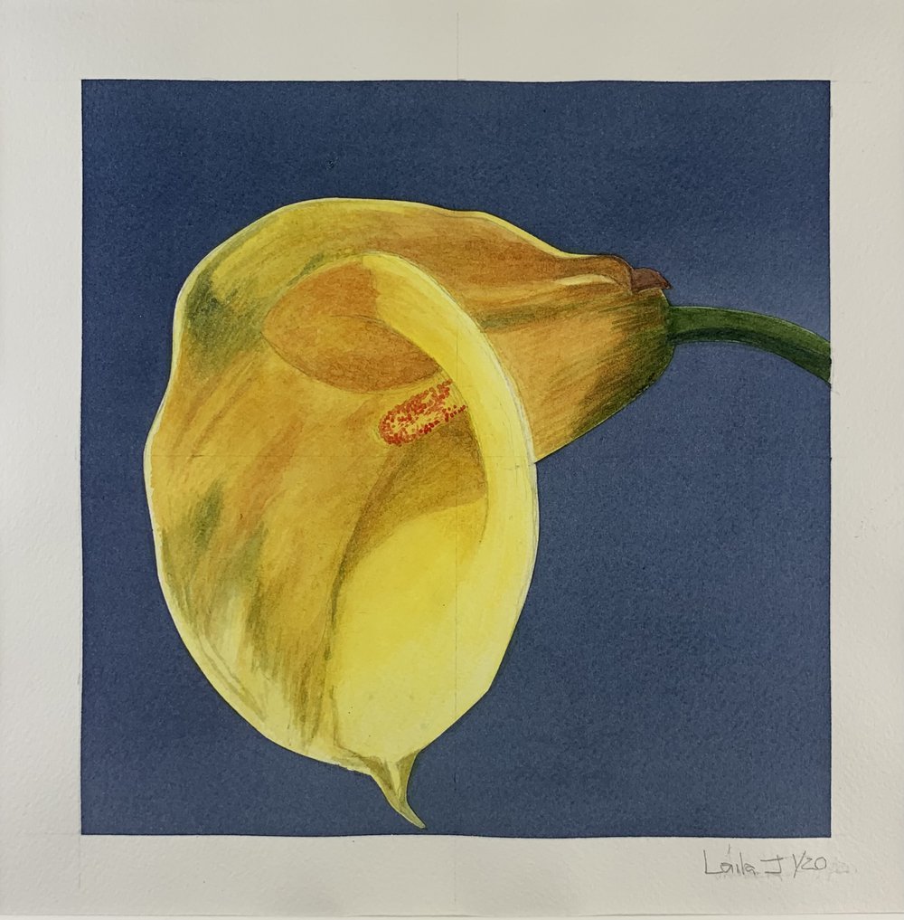 Flower 2, Omage a Mapplethorpe | helloart
