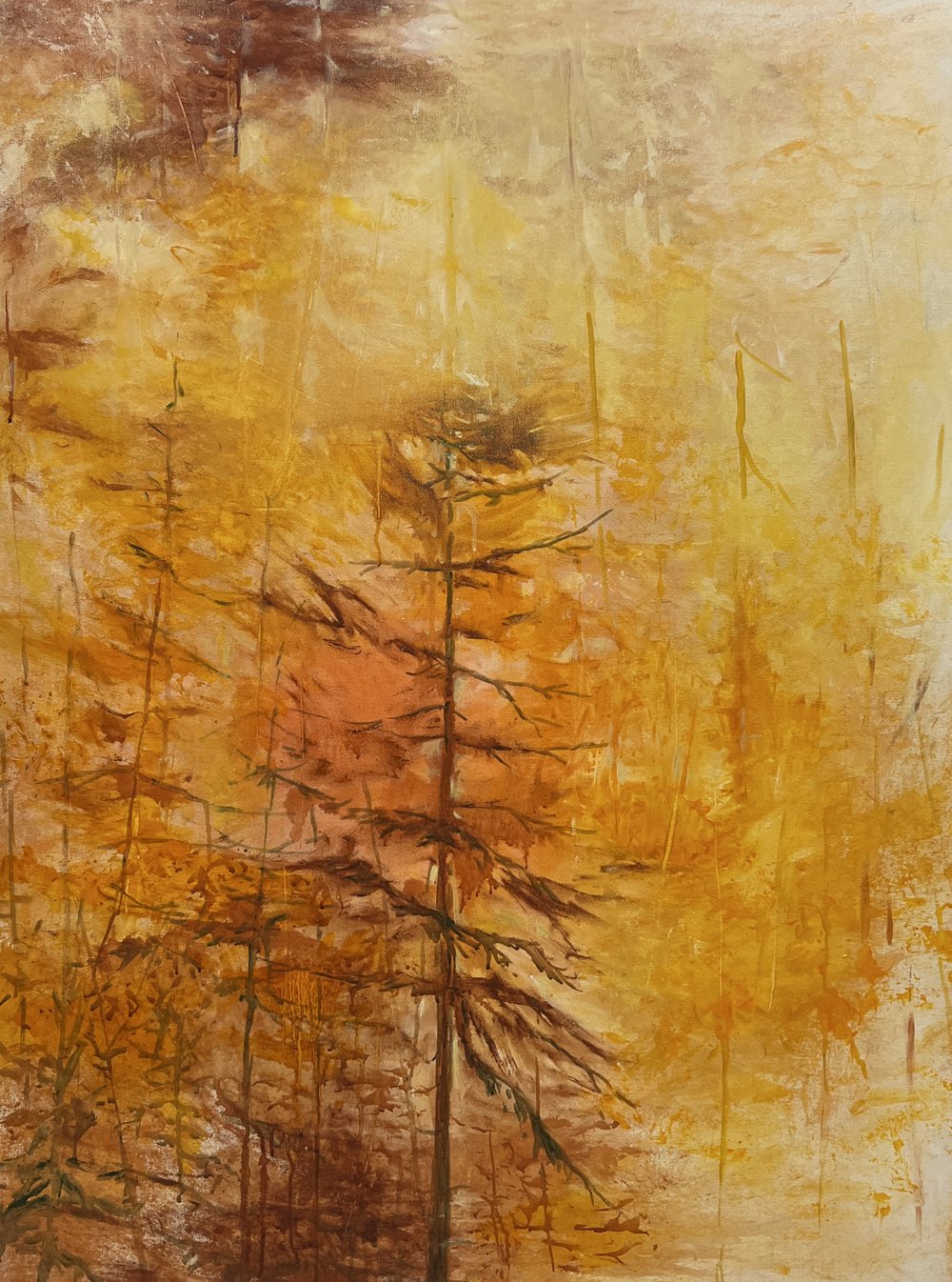 Sunset Trees | helloart