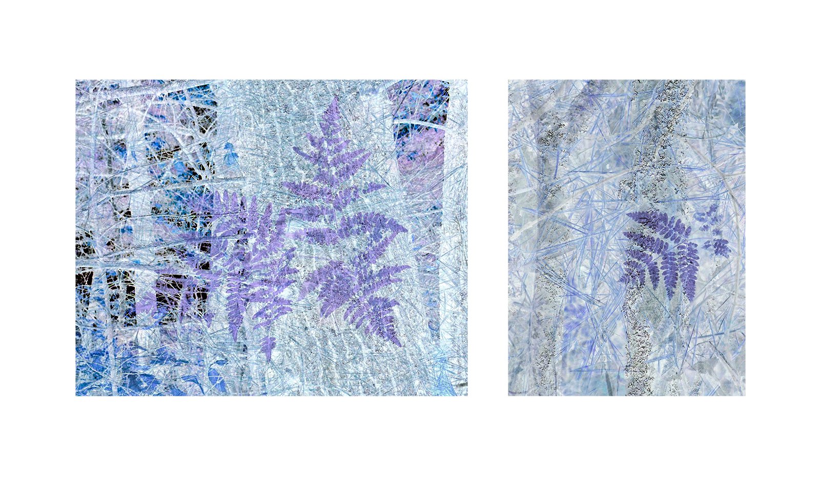 A Plea from the Earth (iv) | helloart