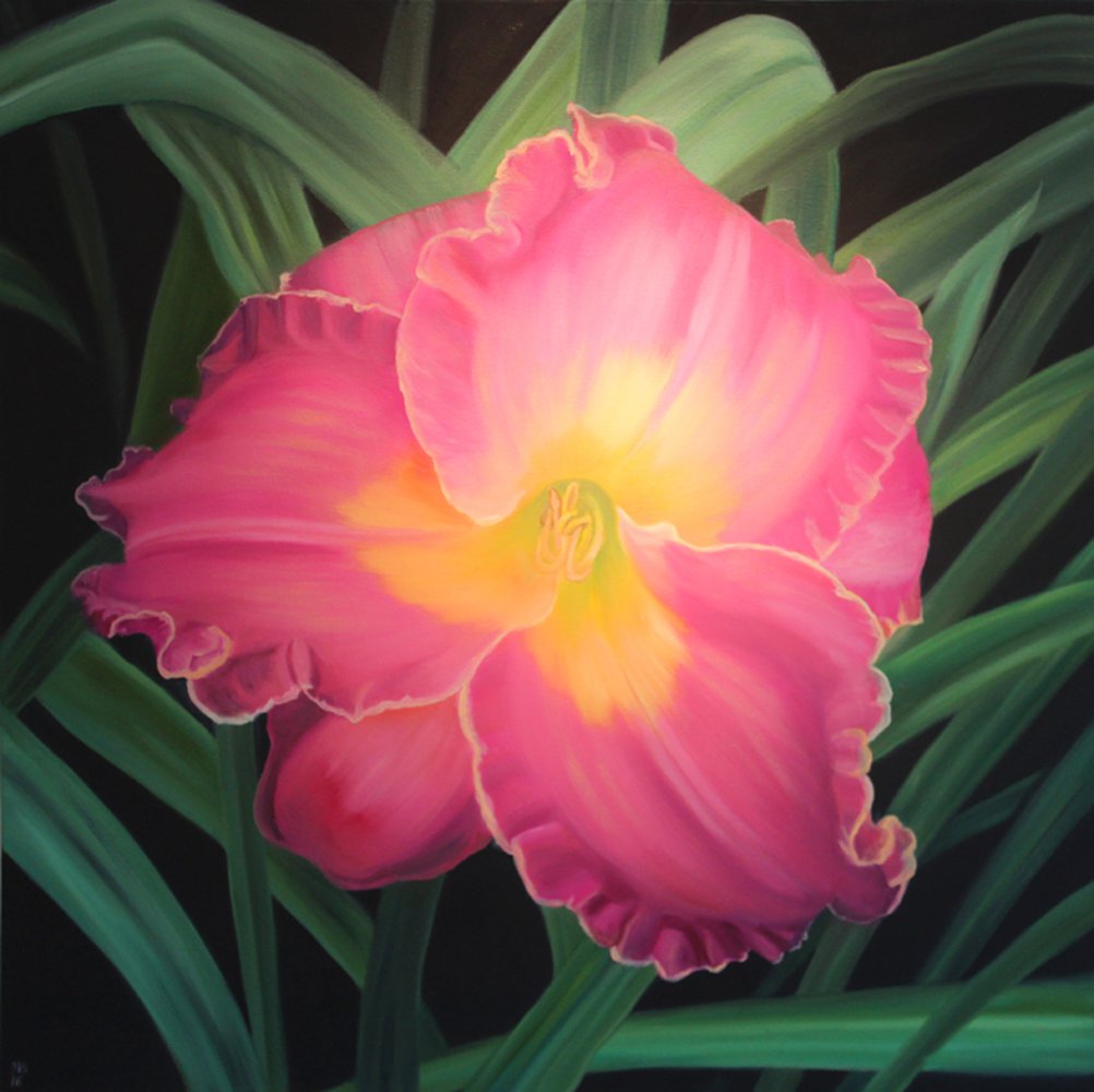 Pink Daylily | helloart