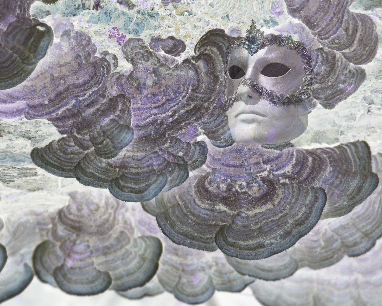 The Masks of Venice (ii) | helloart