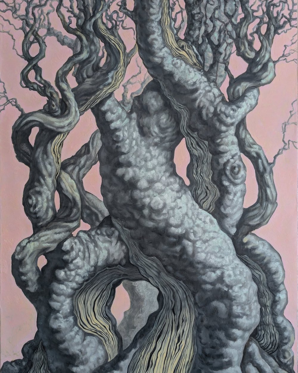 Old Trees | helloart