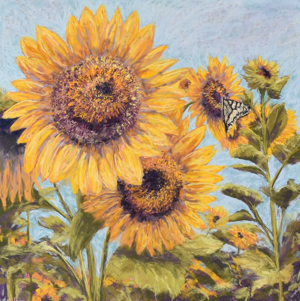 Sunflower Fields Forever | helloart