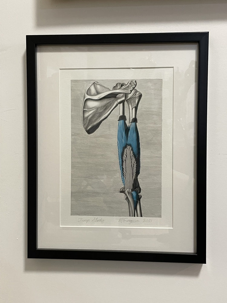 Tricep Study | helloart