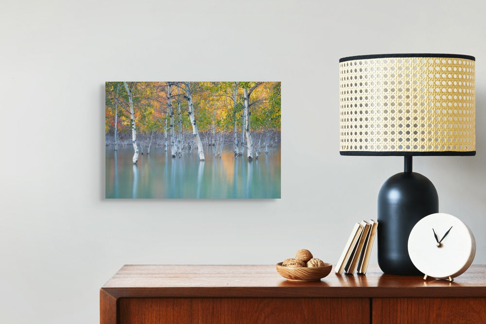 Sunken Color | helloart