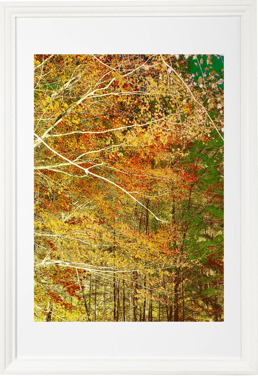 ON YOUR ISLAND: FOREST CEREMONY | helloart