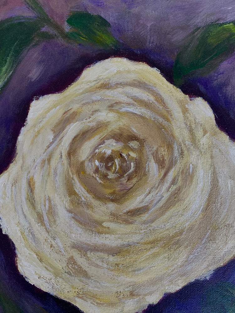 White Rose | helloart