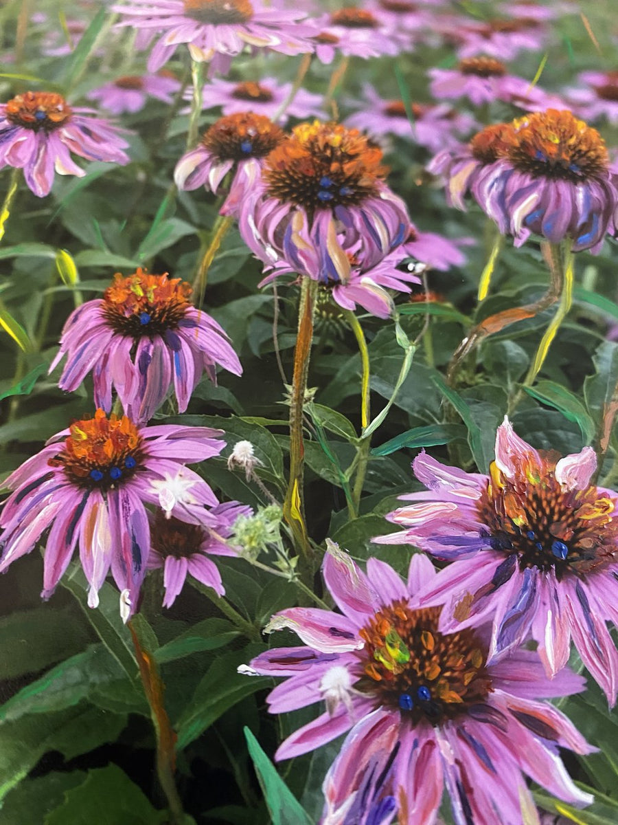 Purple flowers | helloart