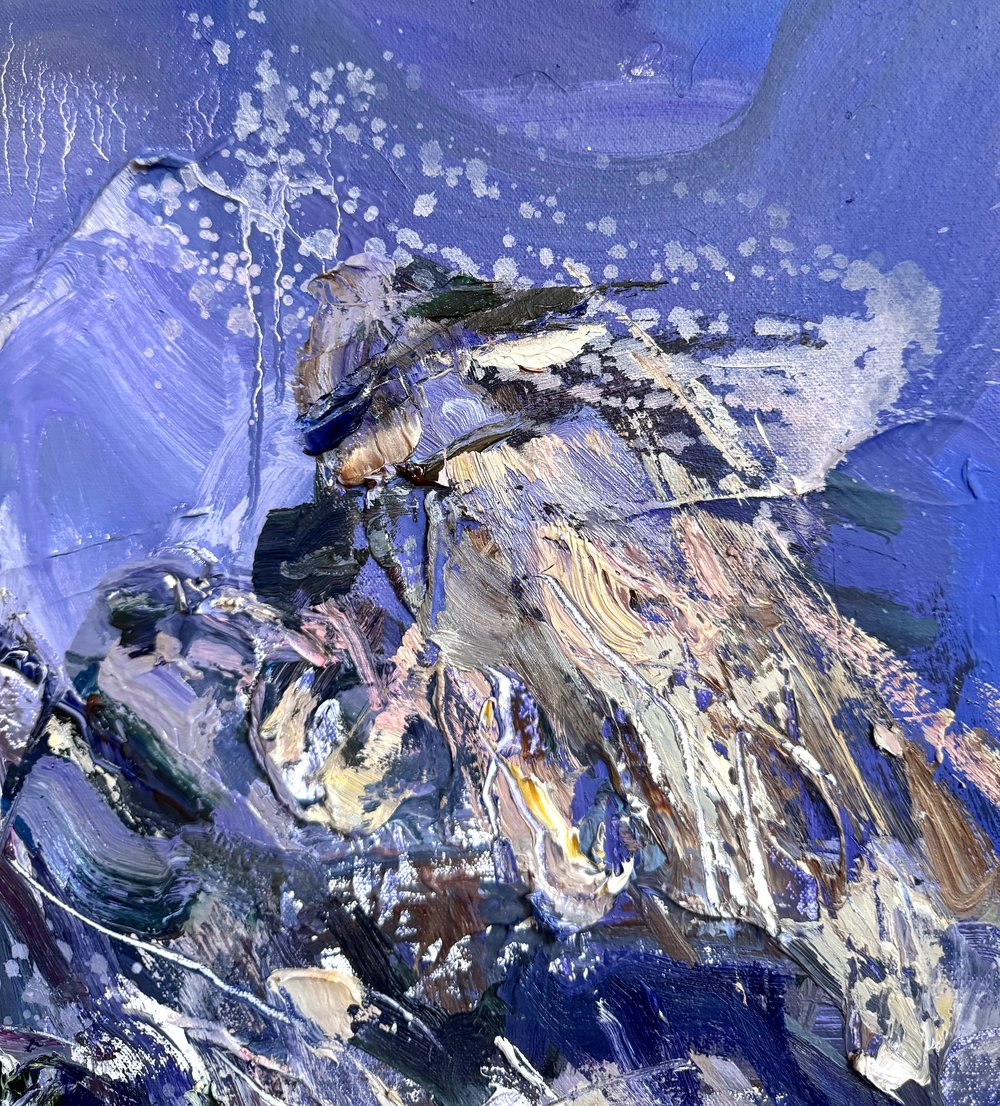 Bridalveil Falls, Yosemite | helloart