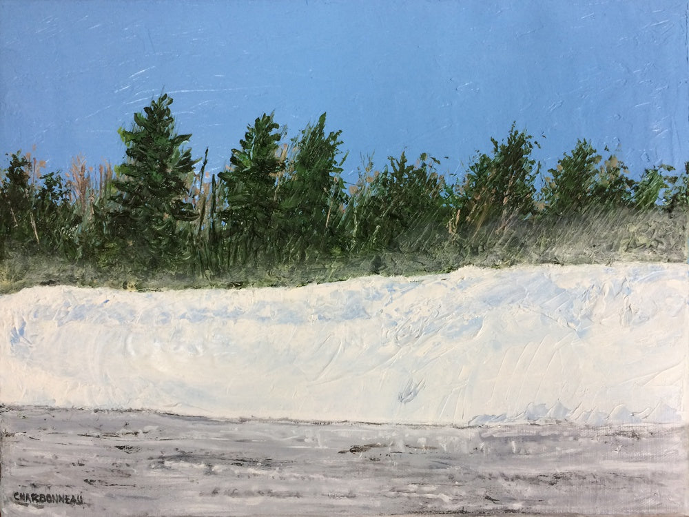 Blowing Snow 1 | helloart