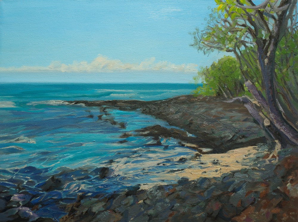 Black Lava Coastline | helloart