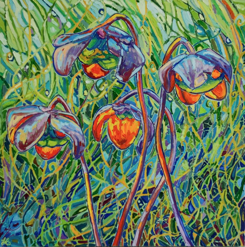 Pitcher Plant IV | helloart